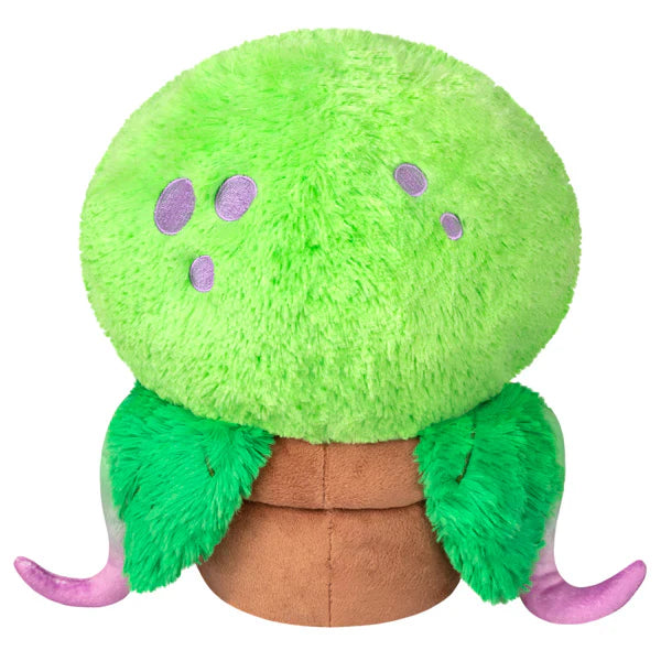 Squishable Mini Venus Fly Trap – HUZZAH! Toys
