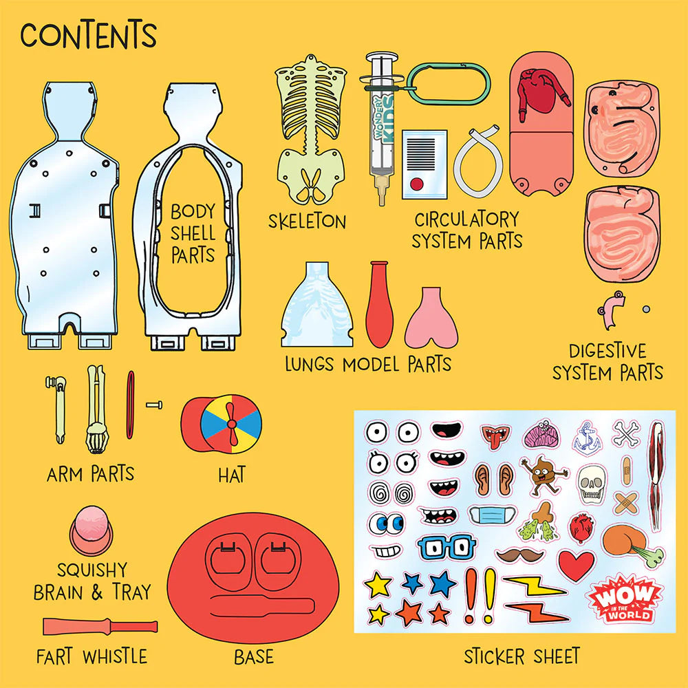 Wow in the World: The Amazing Human Body – HUZZAH! Toys