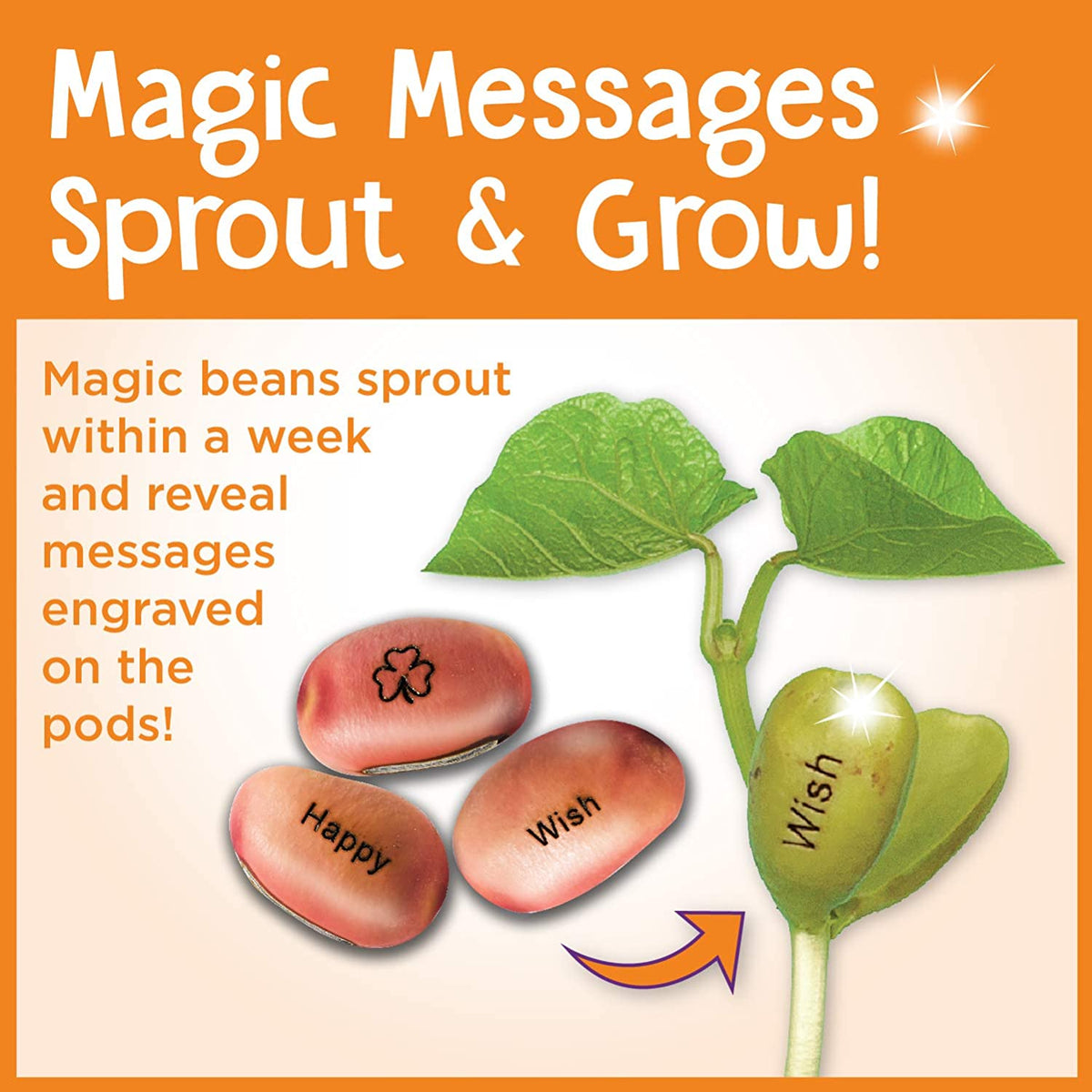Magic Bean Garden – HUZZAH! Toys